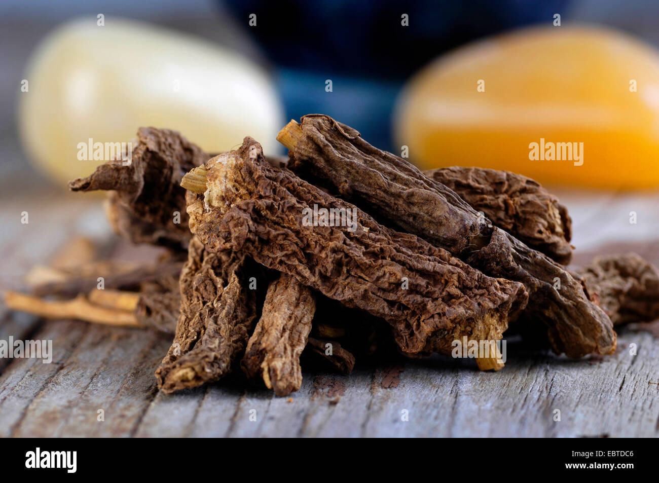 putchock, puchuk, koshet, Kuth, Kut, Koot, Kushta (Saussurea costus ...