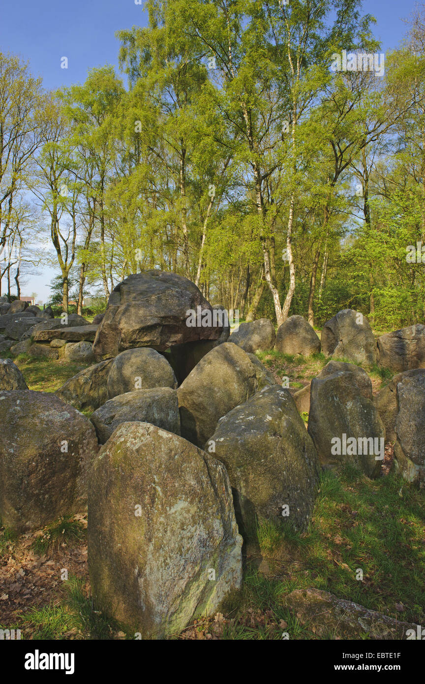 Neolithic age hi-res stock photography and images - Alamy