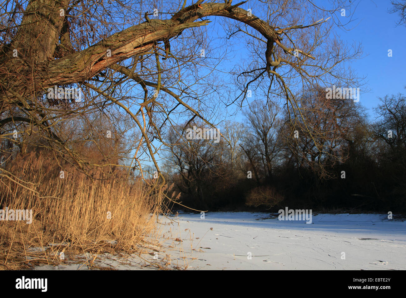 Old rhein hi-res stock photography and images - Alamy