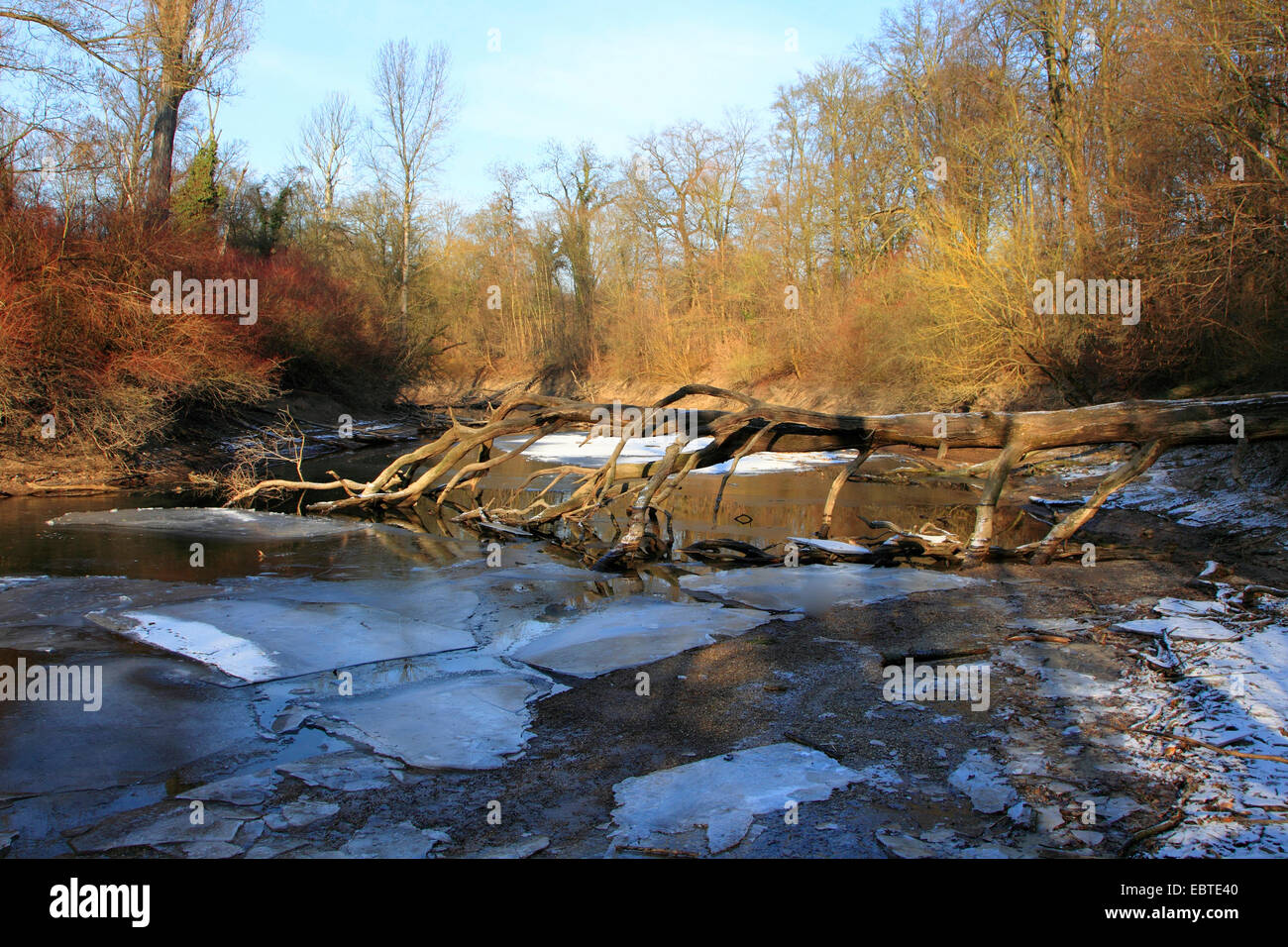 Old Rhein in winter, Germany Stock Photo - Alamy