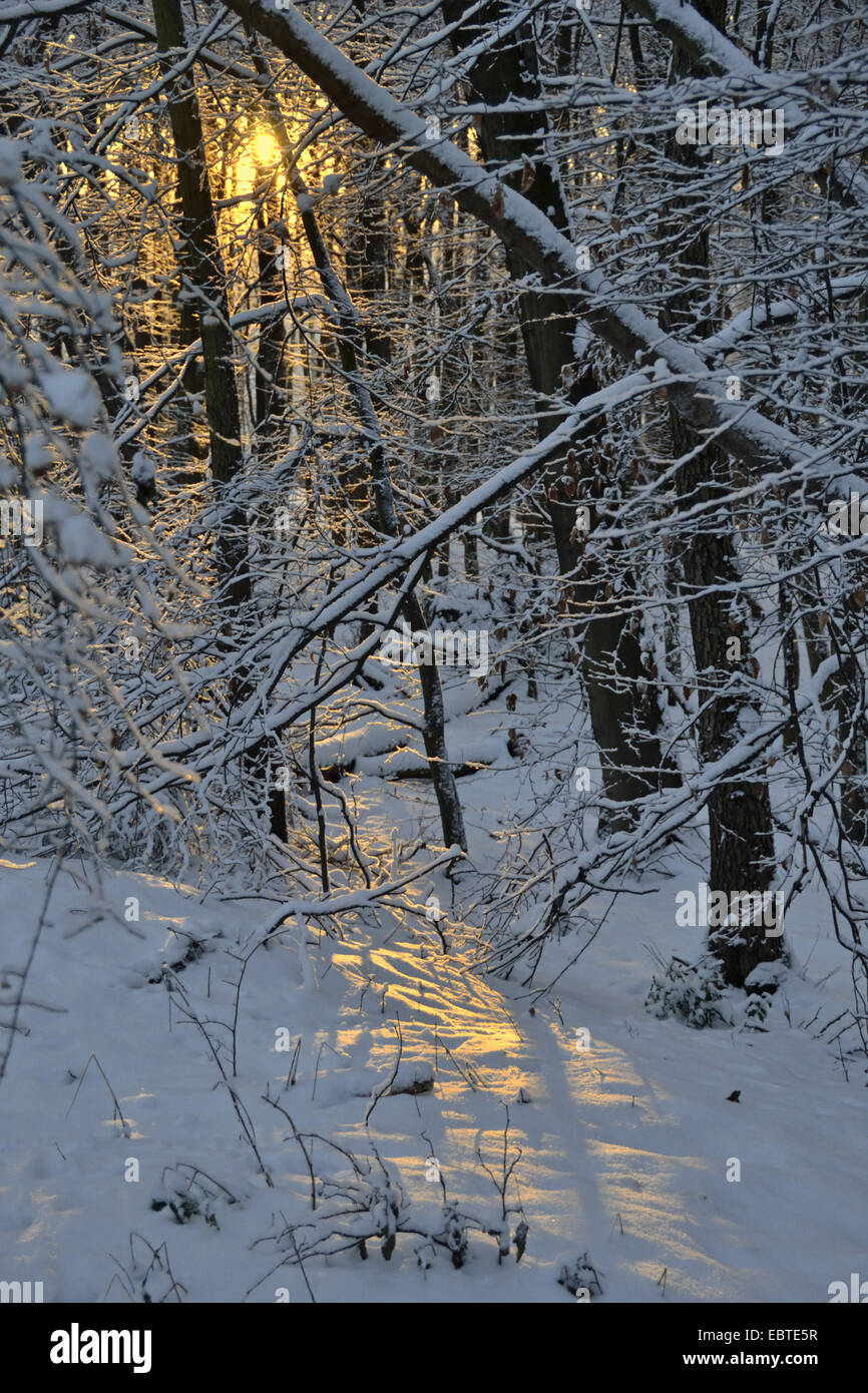 Setting sun shadow hi-res stock photography and images - Alamy