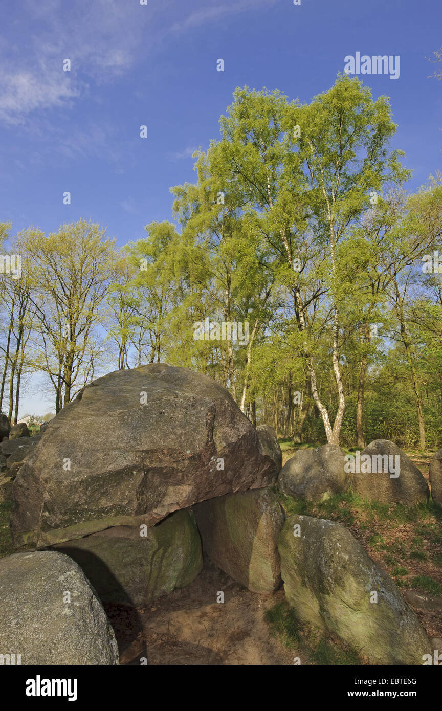 Neolithic age hi-res stock photography and images - Alamy