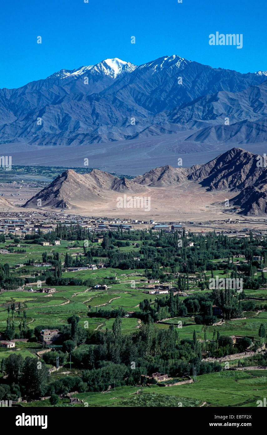 Ladakhy delta Tibet lush green trees crops fields mountains ice snow ...