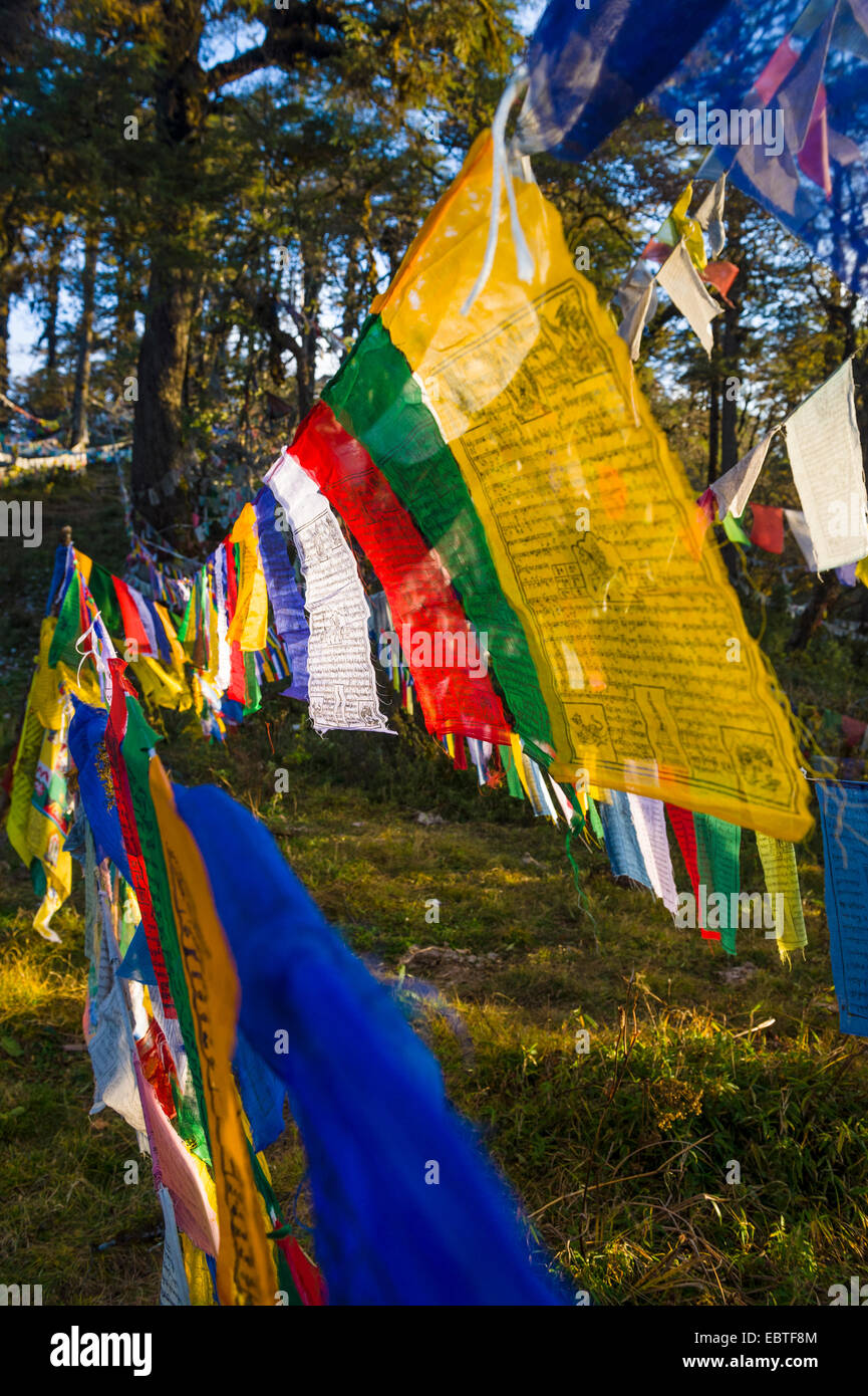 Colorful Preayer Flags strung at Dochula pass, Bhutan Stock Photo - Alamy