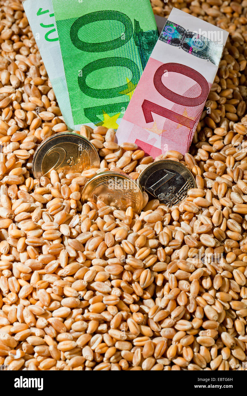 Cash crops hi-res stock photography and images - Alamy