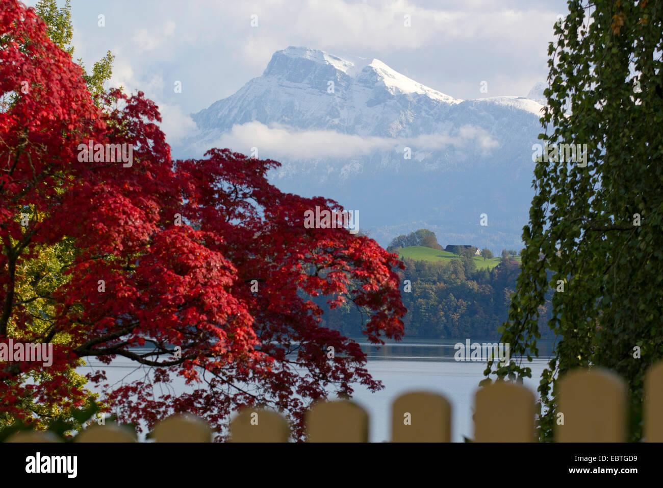 Lake Lucerne in autumn, Switzerland Stock Photo - Alamy
