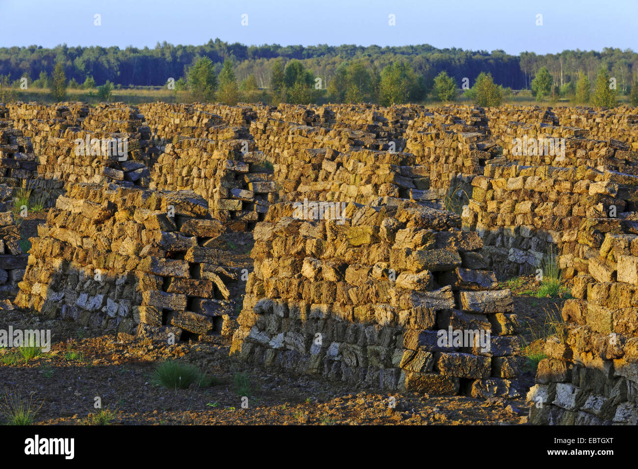 giant stacks of bales of peat at the peat extraction at the ...