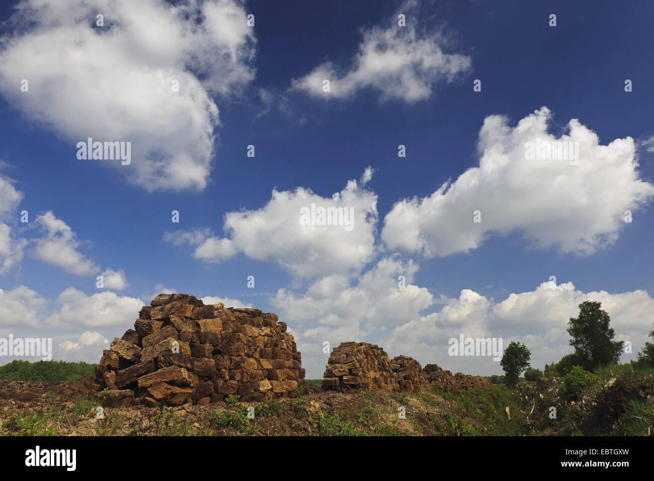 Moors and peat bogs hi-res stock photography and images - Alamy