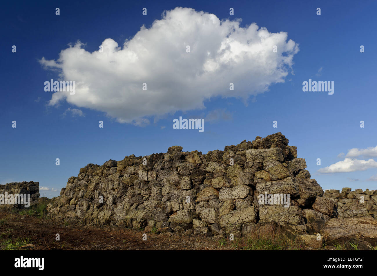 stacks of bales of peat at the peat extraction at the Goldenstedter ...