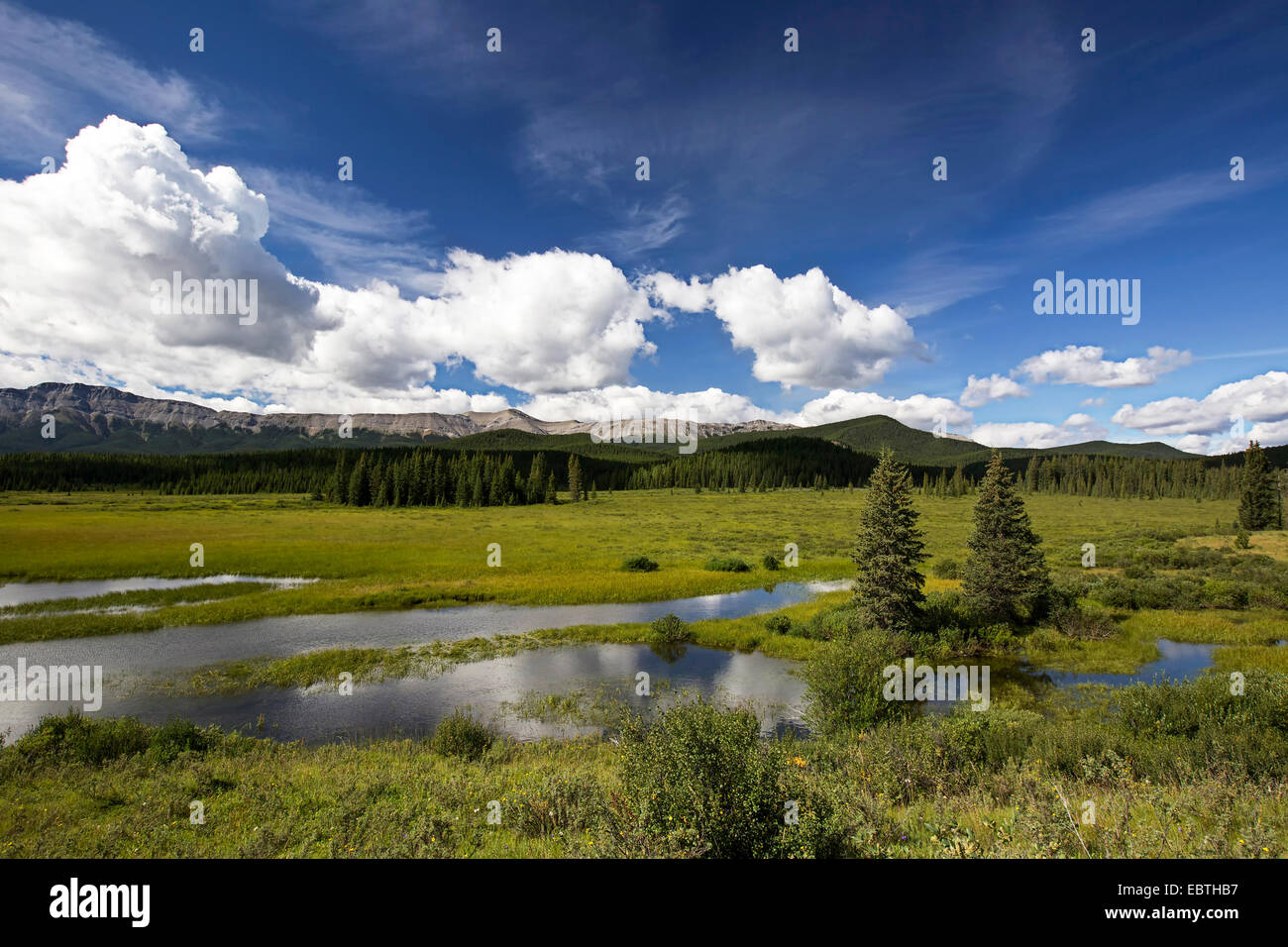 View of the mountains, foothills and wilds of Alberta, Canada Stock ...