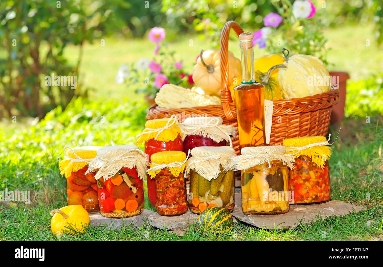 Pickle grass hi-res stock photography and images - Alamy
