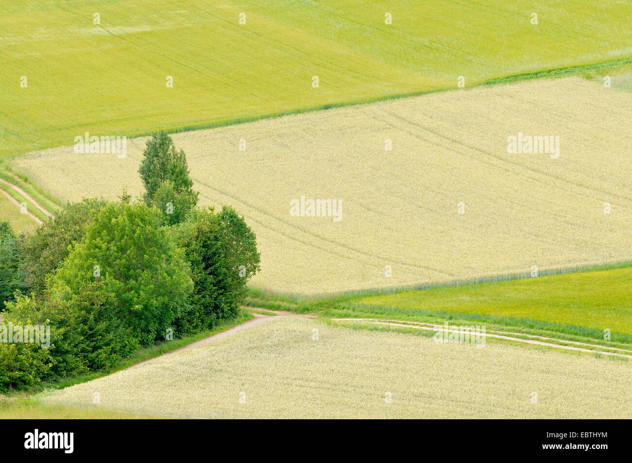 Agrarian landscape hi-res stock photography and images - Alamy