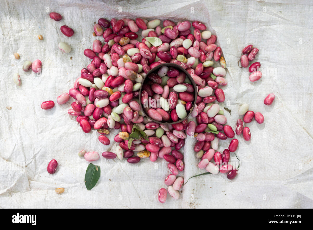 multicoloured beans for sale at a market stall in Kalaw, Burma, Myanmar ...