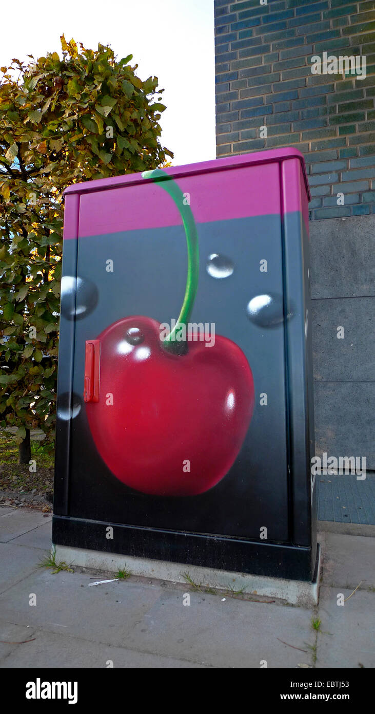 painted panelboard with cherry immersed in a drink, Germany, North ...