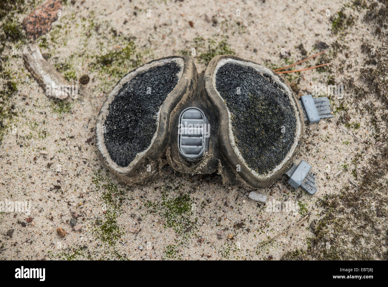 Gas mask filter hi-res stock photography and images - Alamy