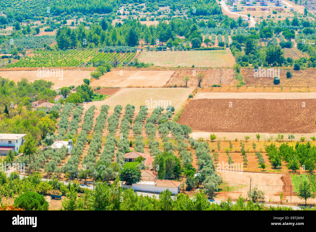 land for agriculture. Empty and planted fields Stock Photo - Alamy