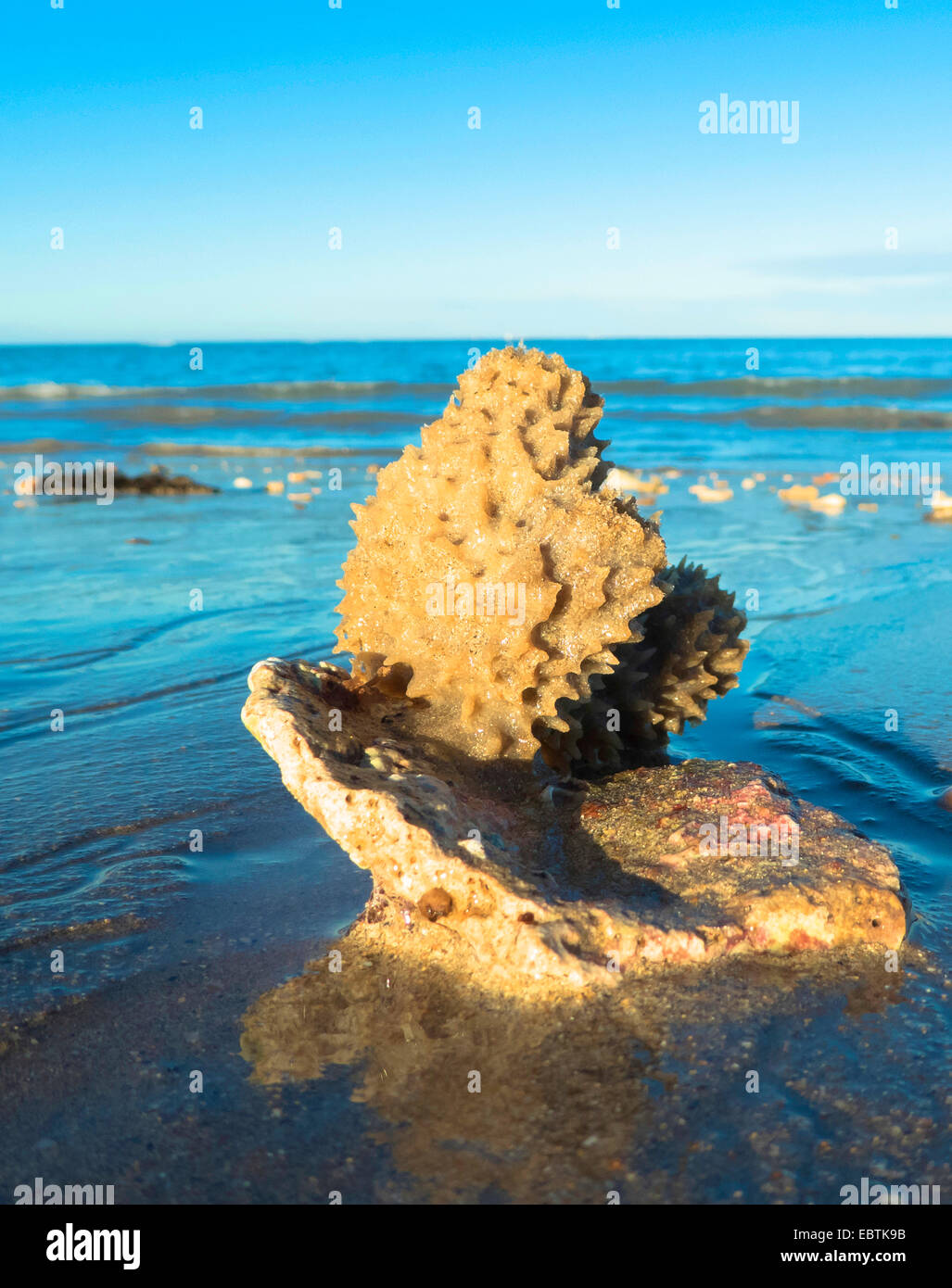 Exmouth australia hi-res stock photography and images - Alamy