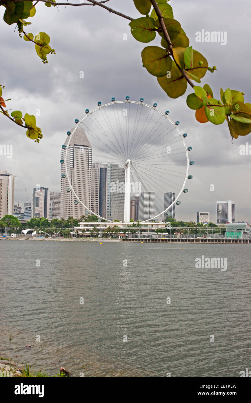 Singapore city and ferris wheel from Marina Bay Gardens Stock Photo - Alamy