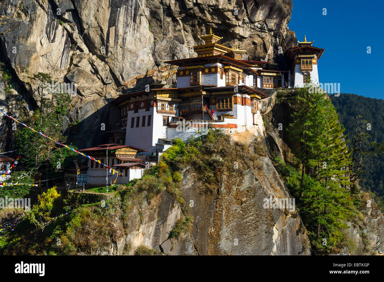 Taktshang or Tigers Nest above the Paro valley, Bhutan Stock Photo - Alamy