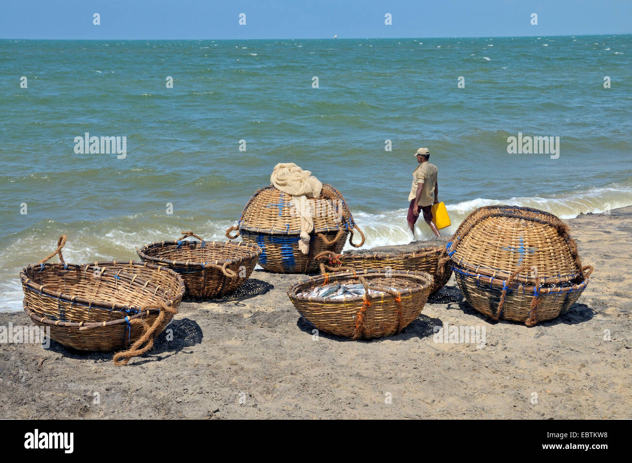 baskets with dried cod at the beach, preparation for curing, Sri Lanka ...