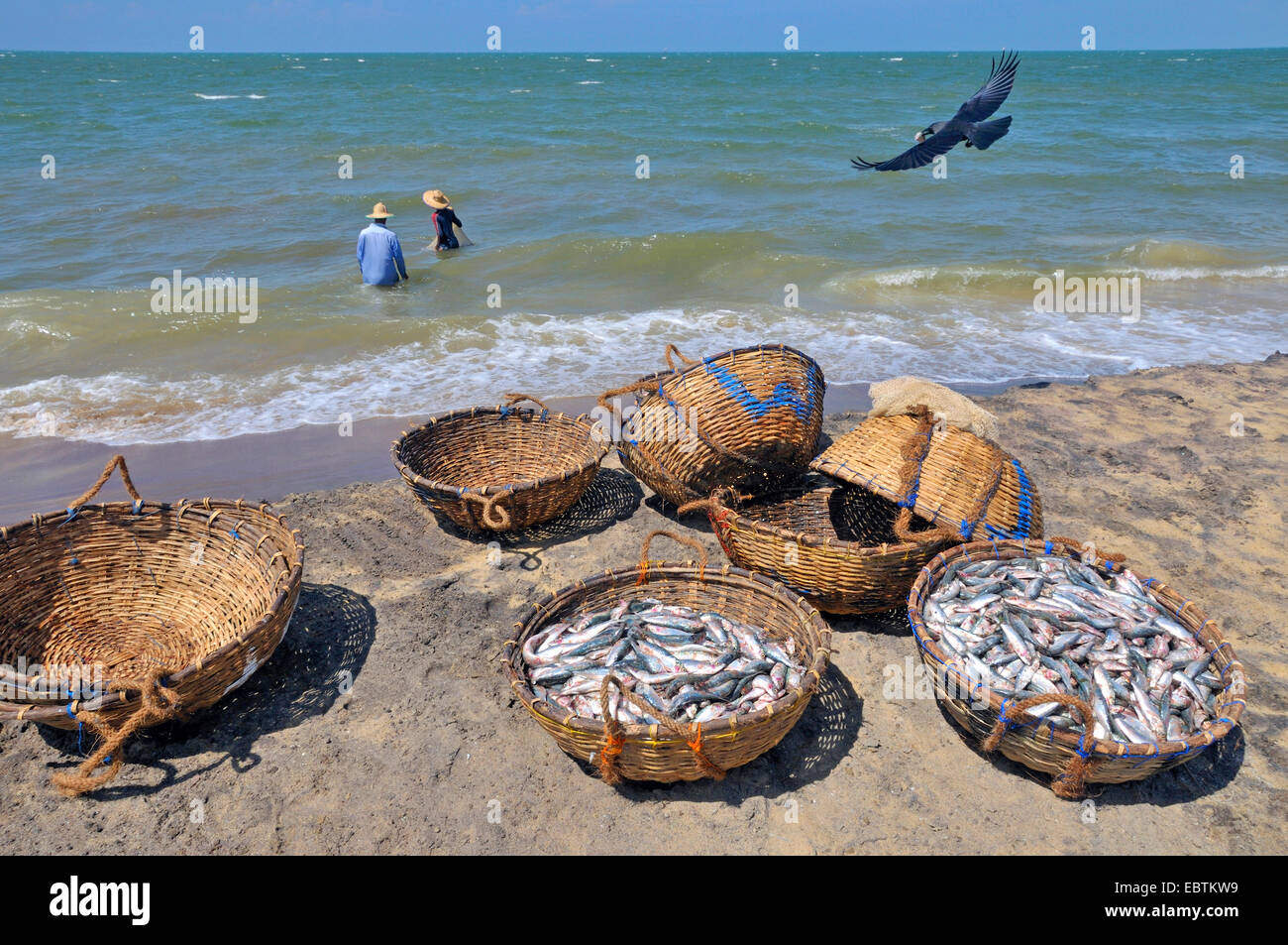 Sri lankan dried fish hi-res stock photography and images - Alamy