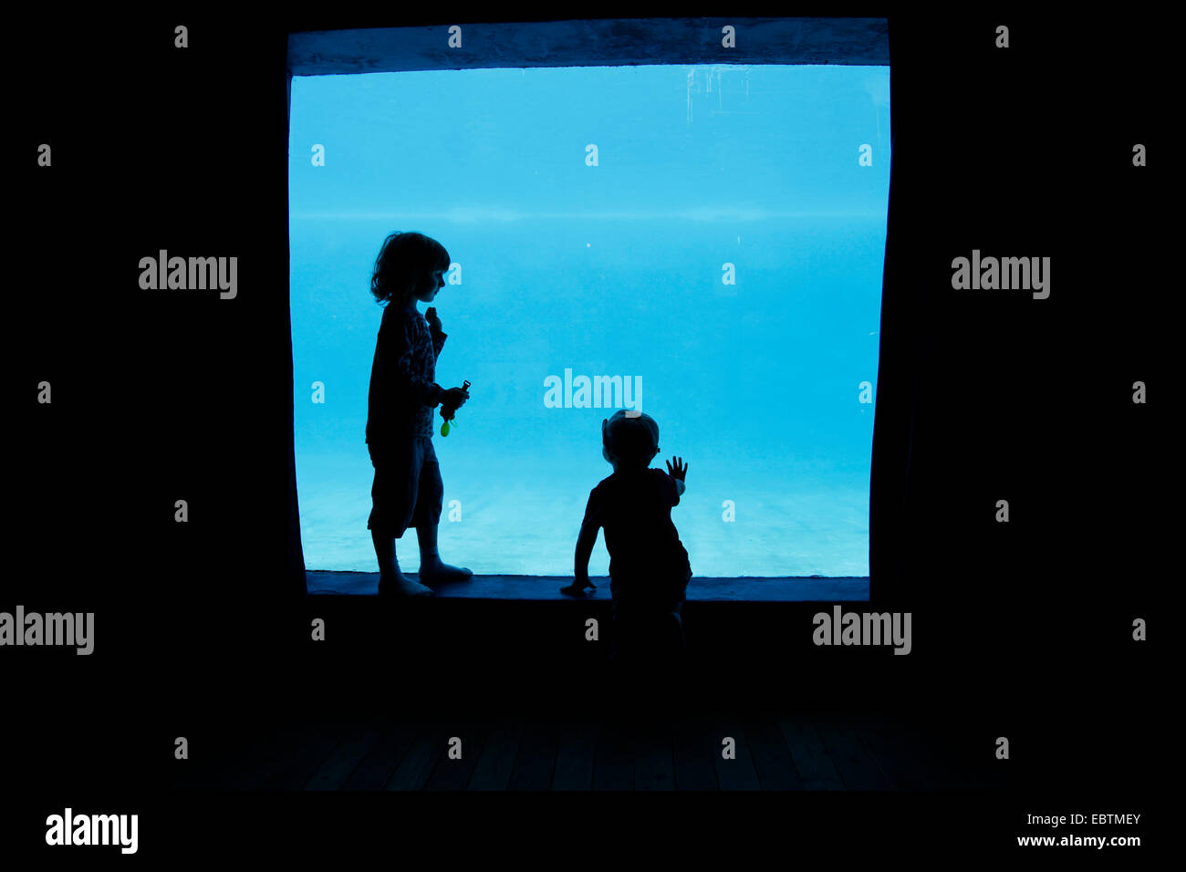 Silhouette people observation windows in hi-res stock photography and ...