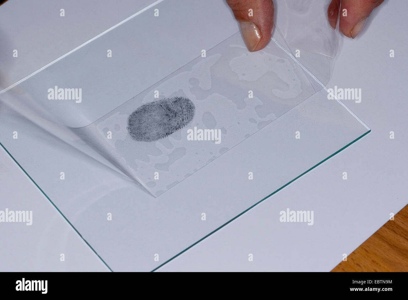 fingerprint fixed with graphite Stock Photo - Alamy