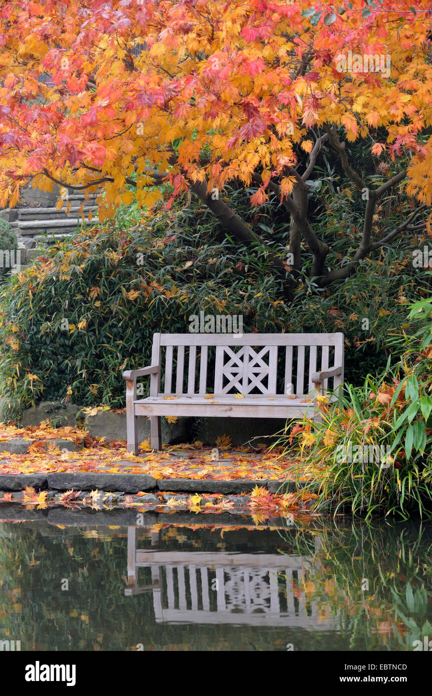 park bench at a pond in autumn, Germany Stock Photo - Alamy