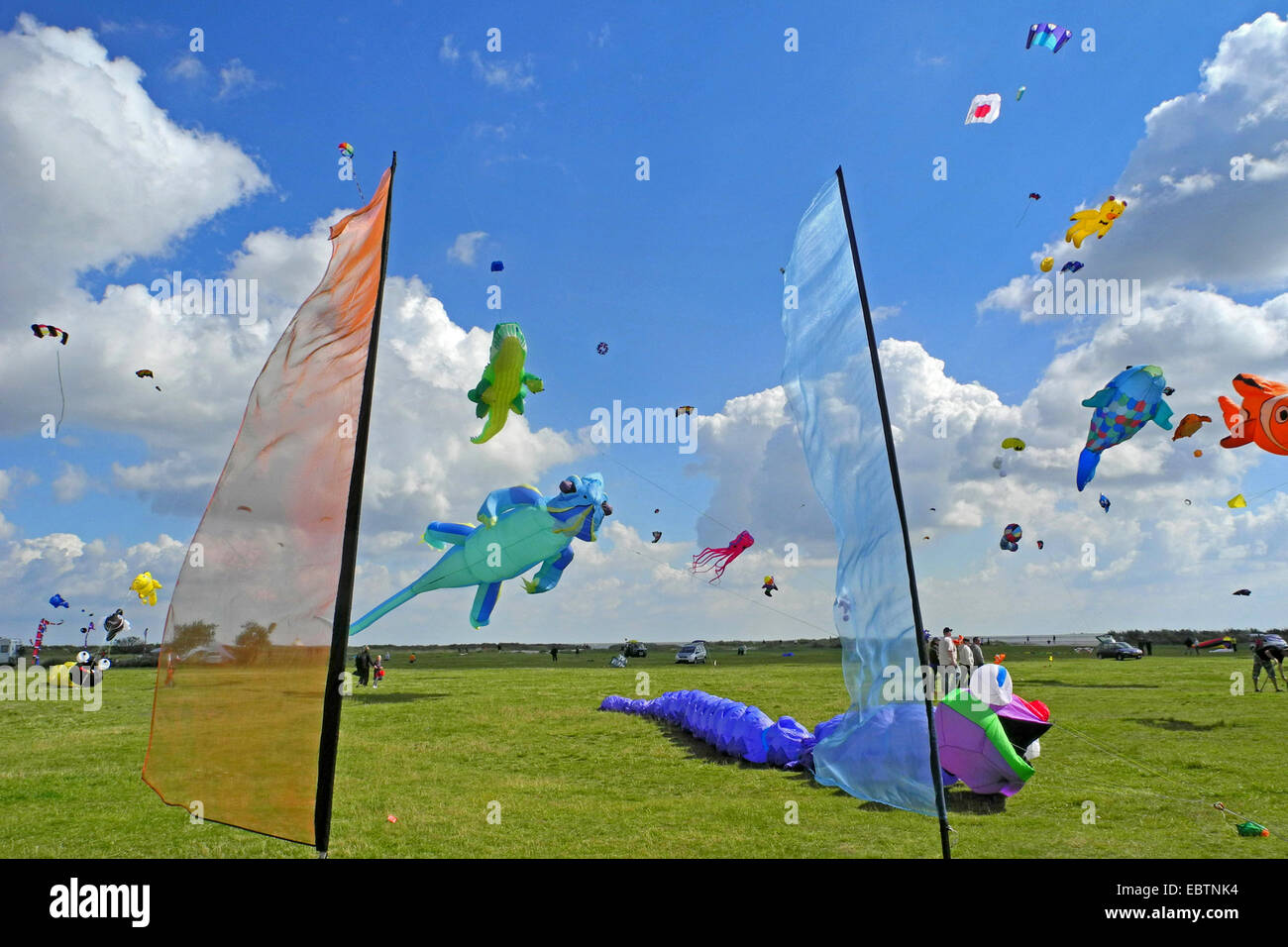 kites at flags at the kite festival in Schillig, Germany, Lower Saxony ...