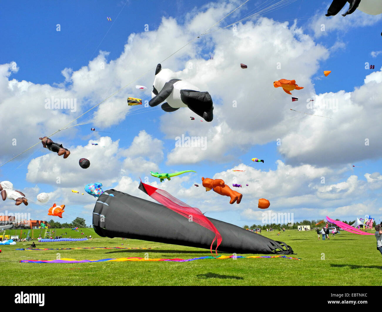 kites at the kite festival in Schillig, Germany, Lower Saxony, Frisia ...