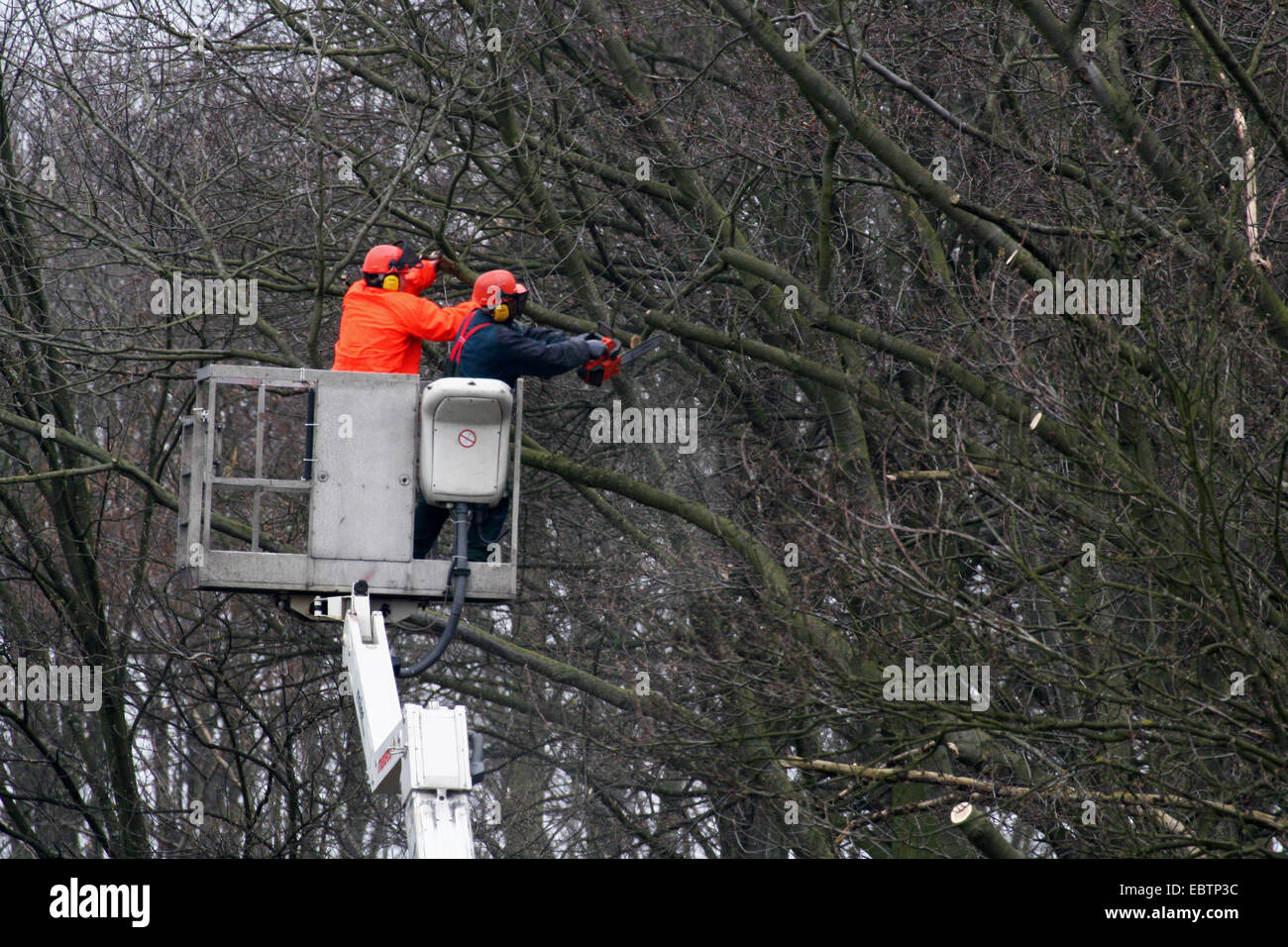 lumbermen in a lifting carriage at work, Germany, North Rhine ...
