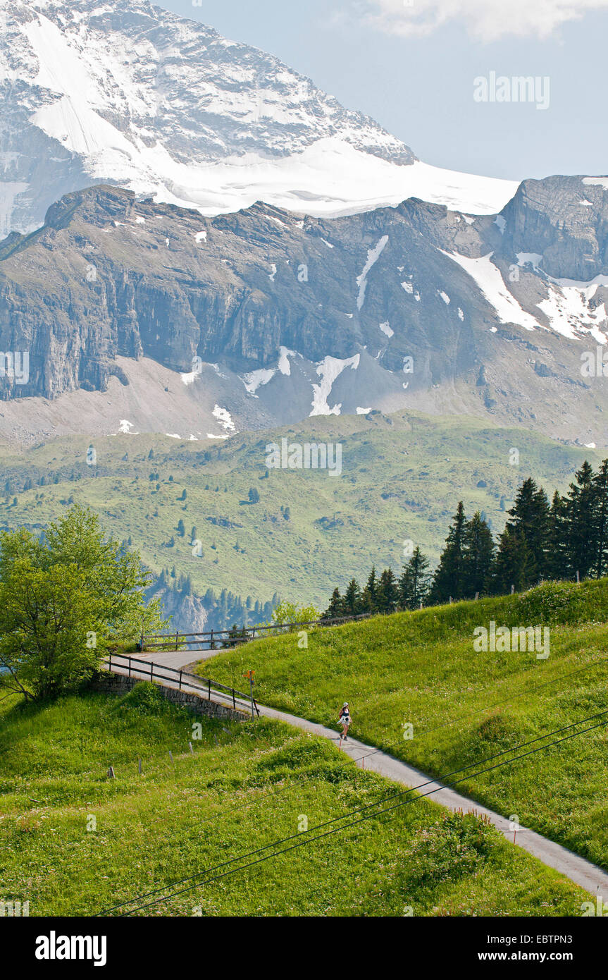 Jungfrau massif and hiking trail near murren hi-res stock photography ...
