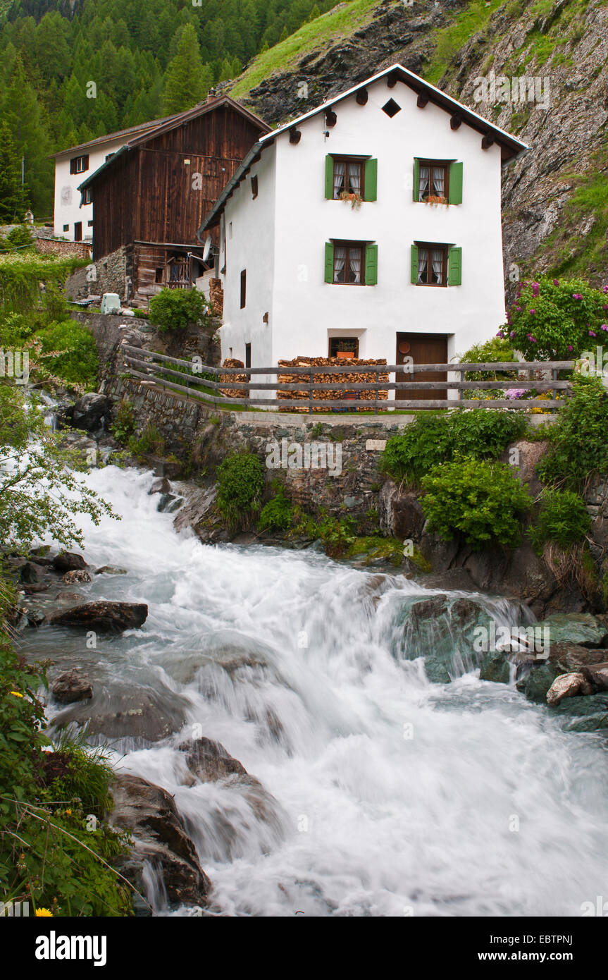 Mulegns mcphoto hi-res stock photography and images - Alamy