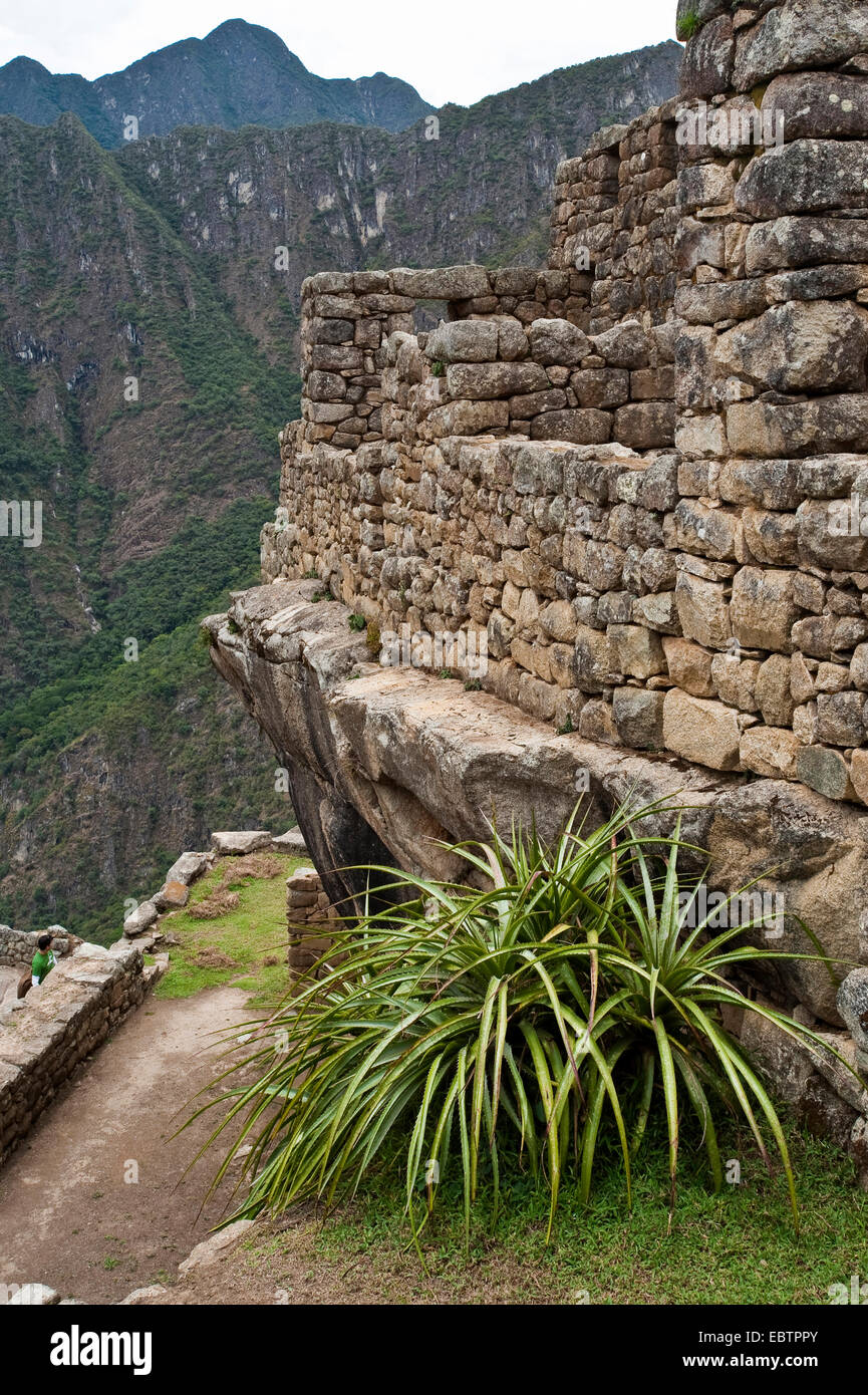 Ancient Inca ruins of Machu Picchu, Peru, Andes, Machu Picchu Stock ...