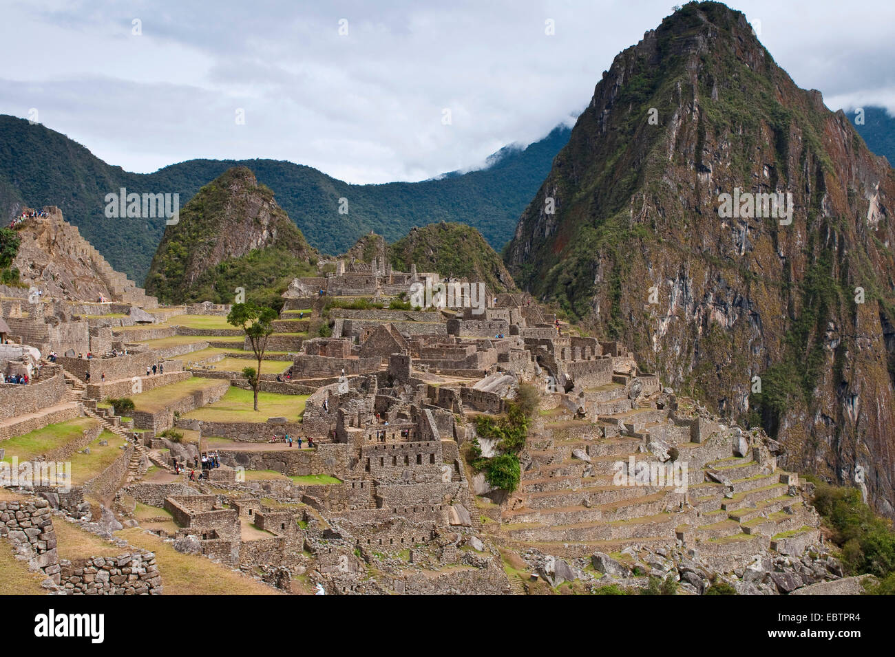 Ancient Inca ruins of Machu Picchu, Peru, Andes, Machu Picchu Stock ...