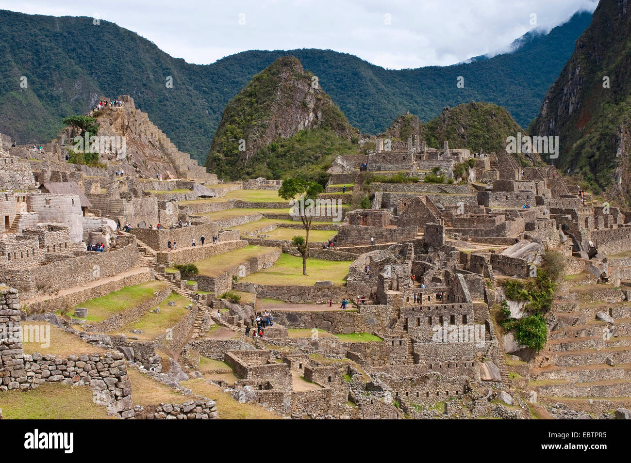 Ancient Inca ruins of Machu Picchu, Peru, Andes, Machu Picchu Stock ...