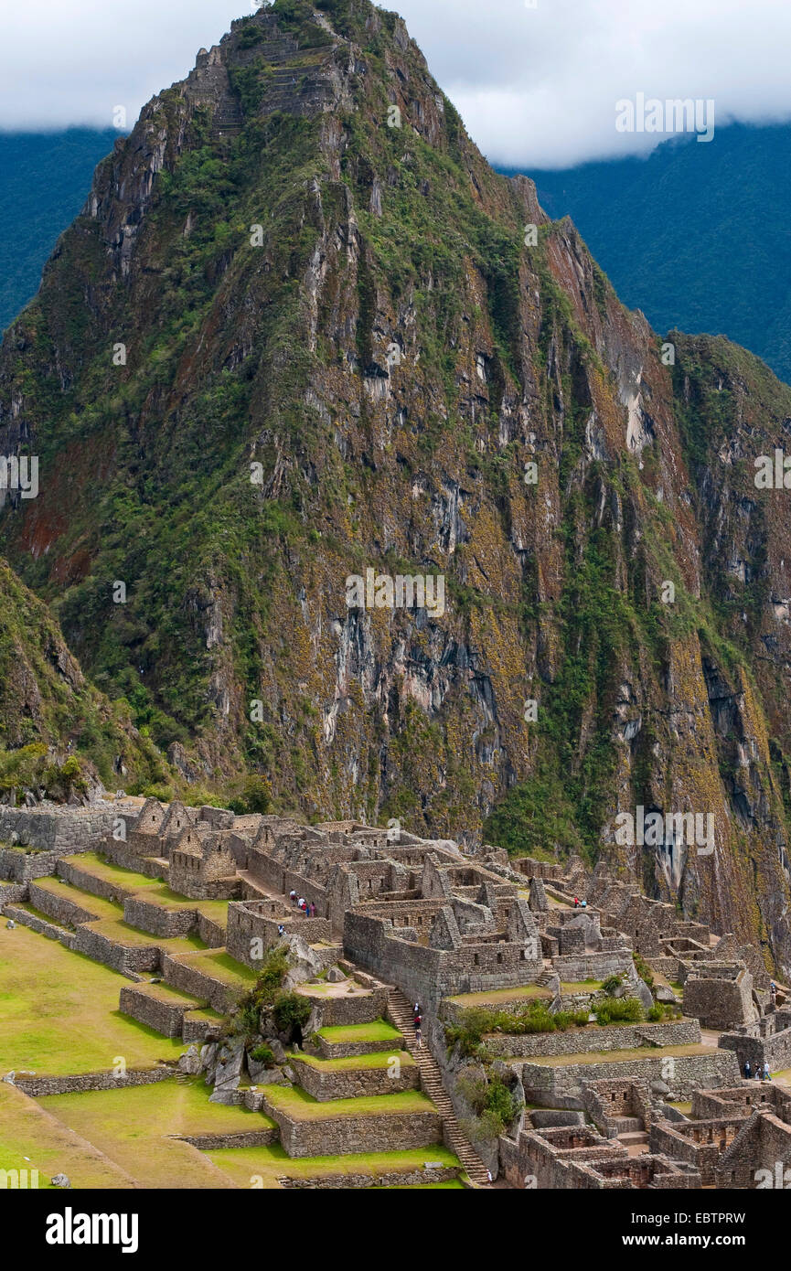 Ancient Inca ruins of Machu Picchu, Peru, Andes, Machu Picchu Stock ...