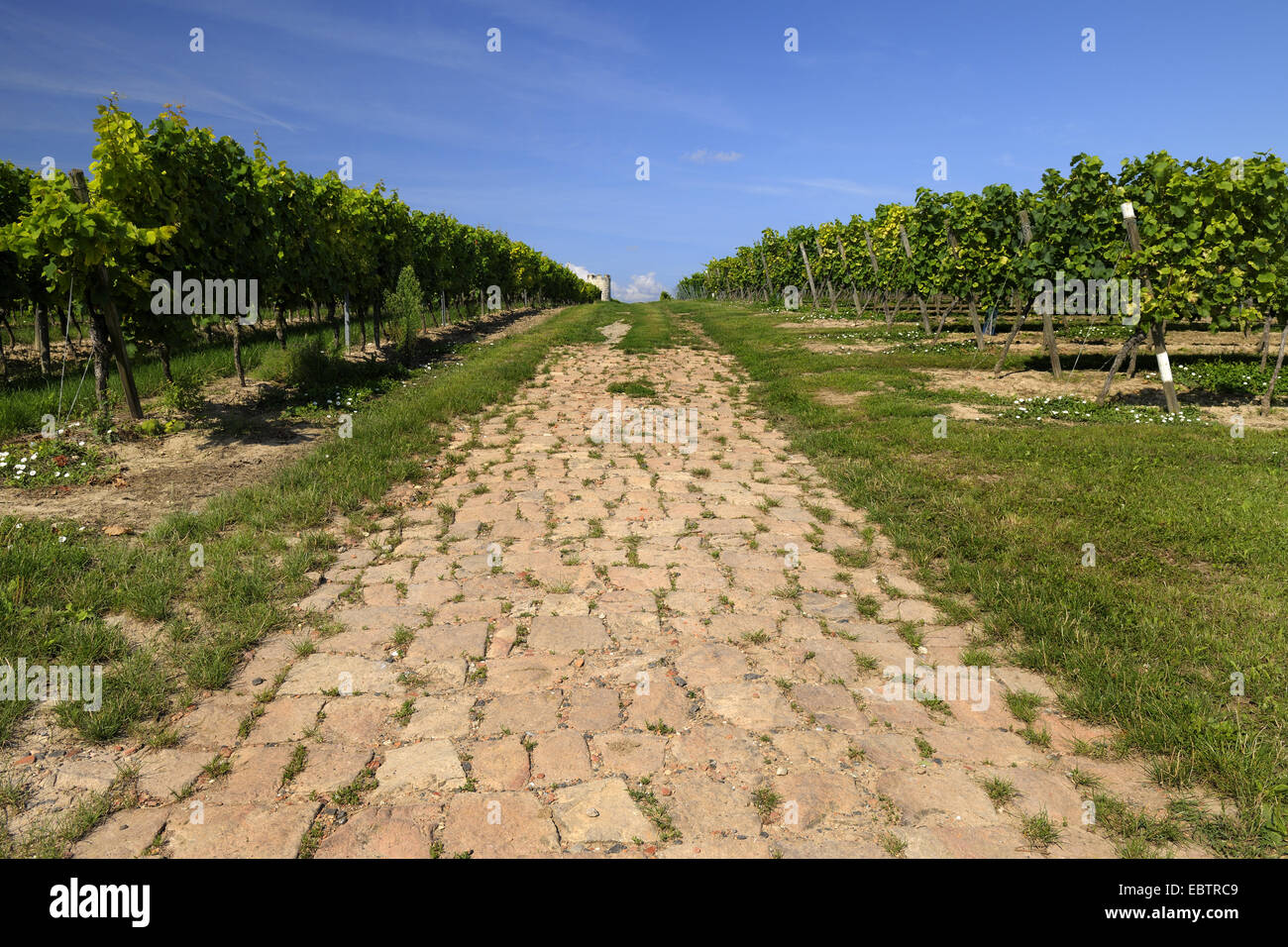 Paving paths and trails hi-res stock photography and images - Alamy