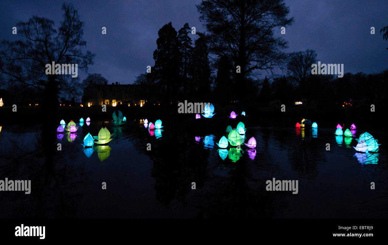 Wakehurst Place, Sussex, UK. 4th December, 2014. The UK's tallest ...