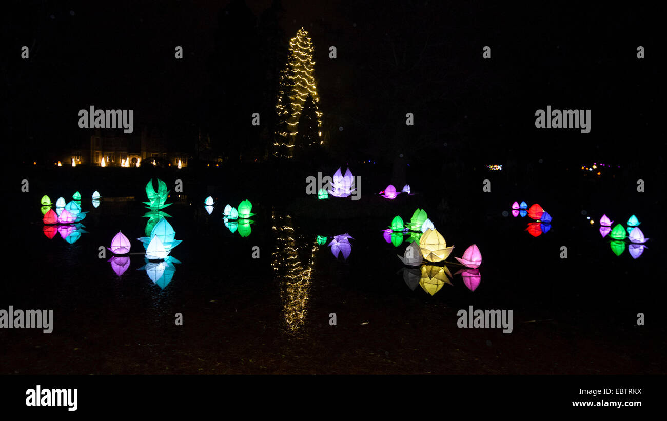 Wakehurst Place, Sussex, UK. 4th December, 2014. The UK's tallest ...
