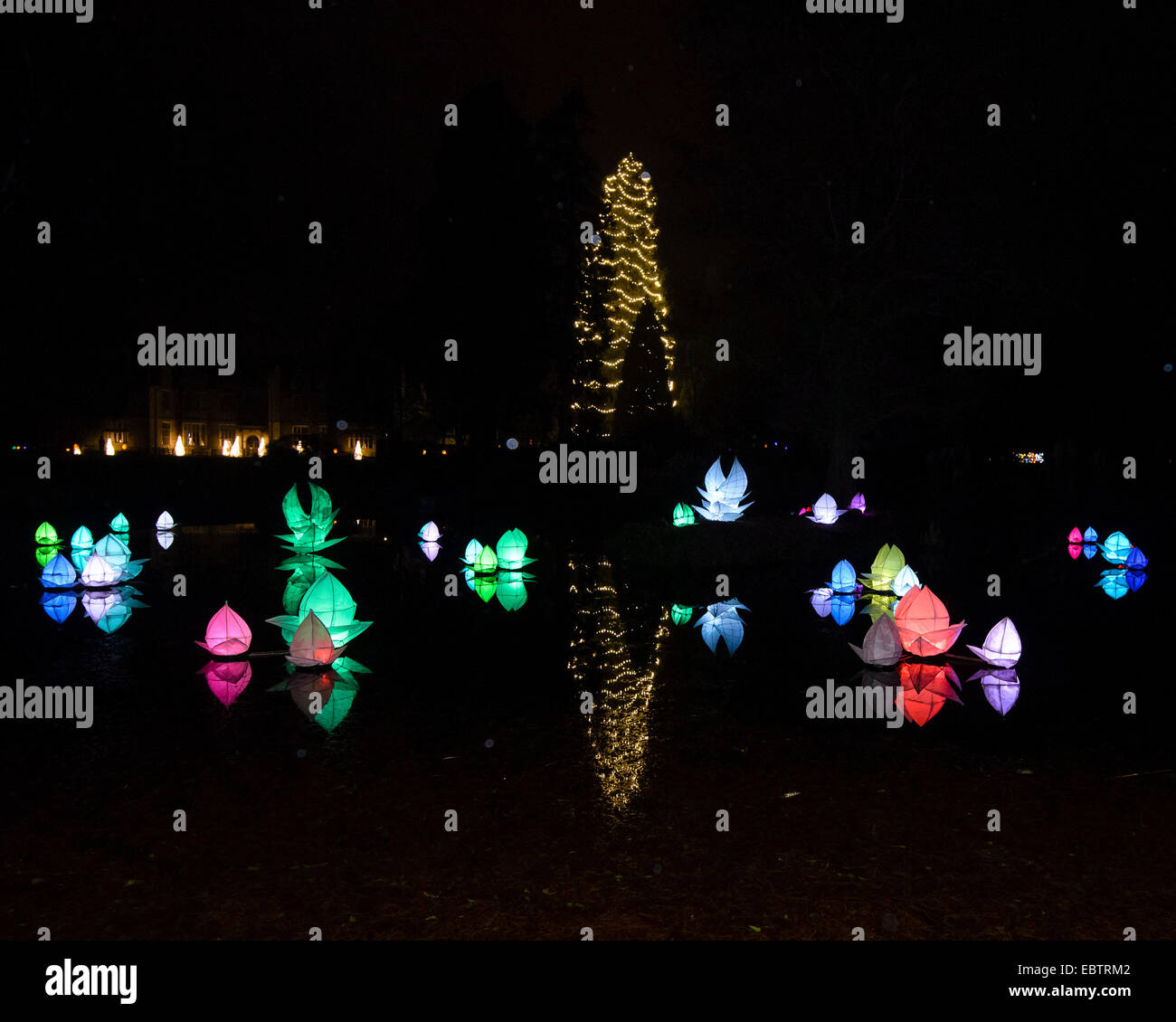 Wakehurst Place, Sussex, UK. 4th December, 2014. The UK's tallest ...