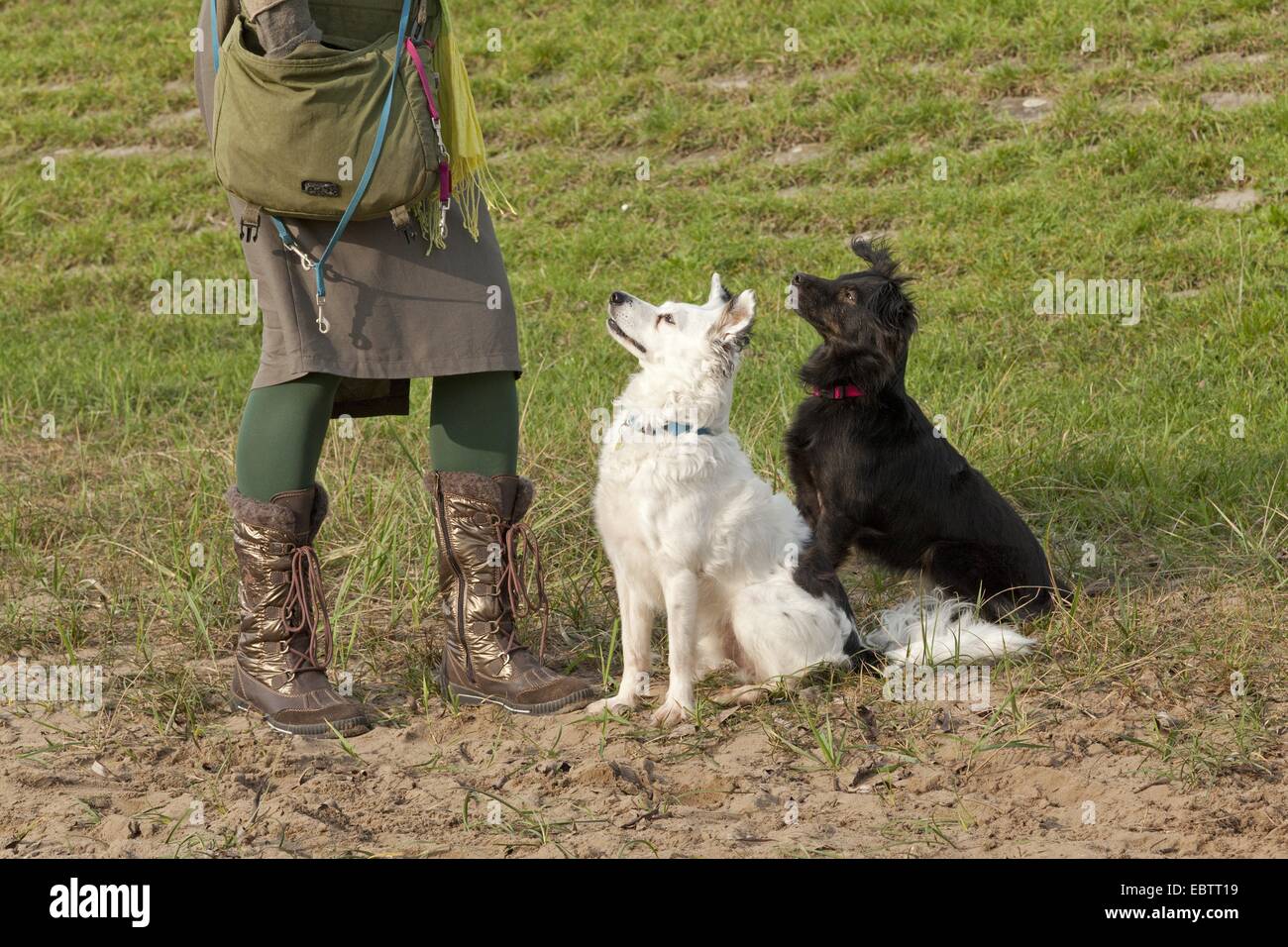 Medium sized person hi-res stock photography and images - Alamy