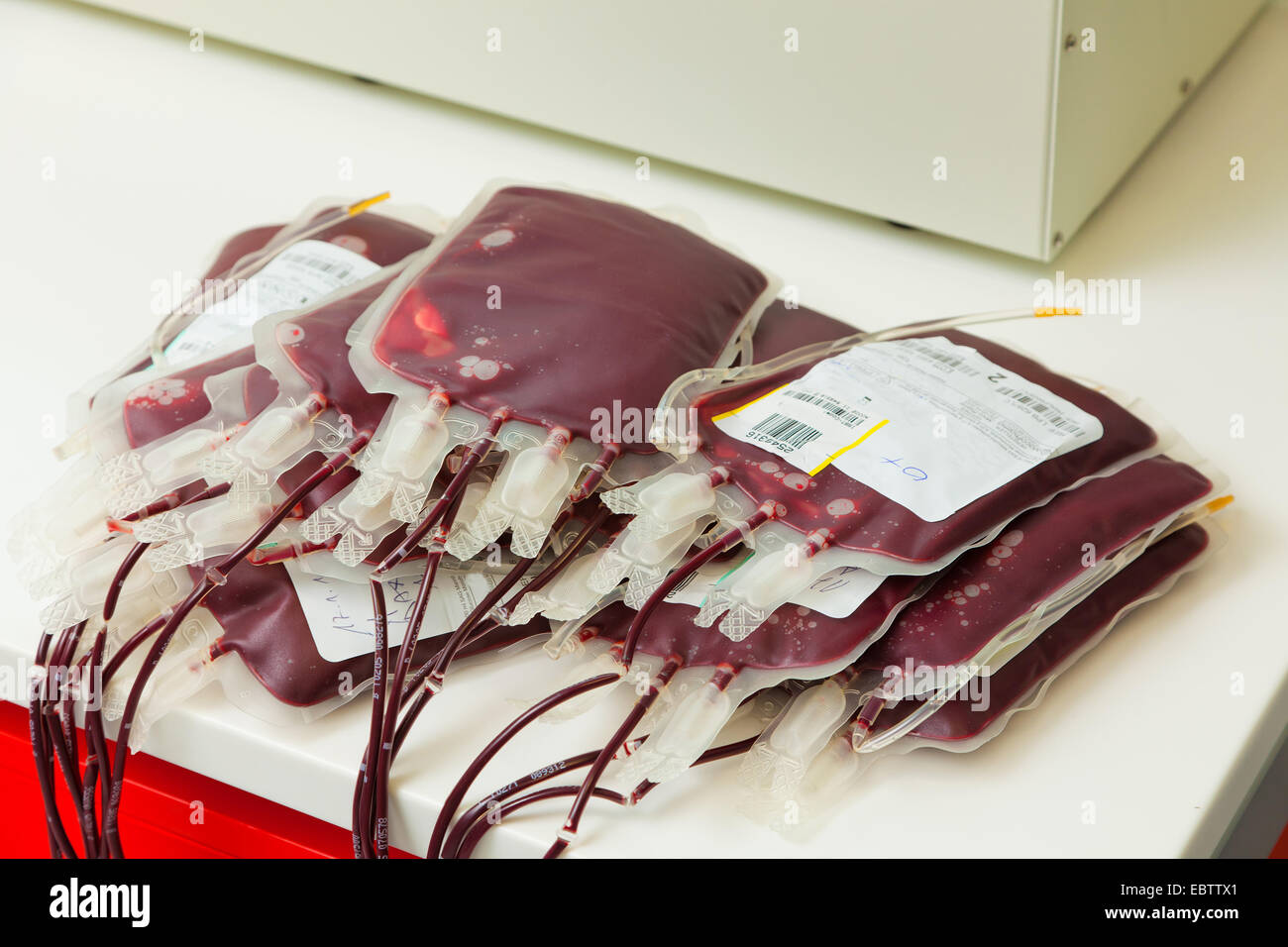 Blood bags with donated blood in the blood lab. Blood and stored blood ...