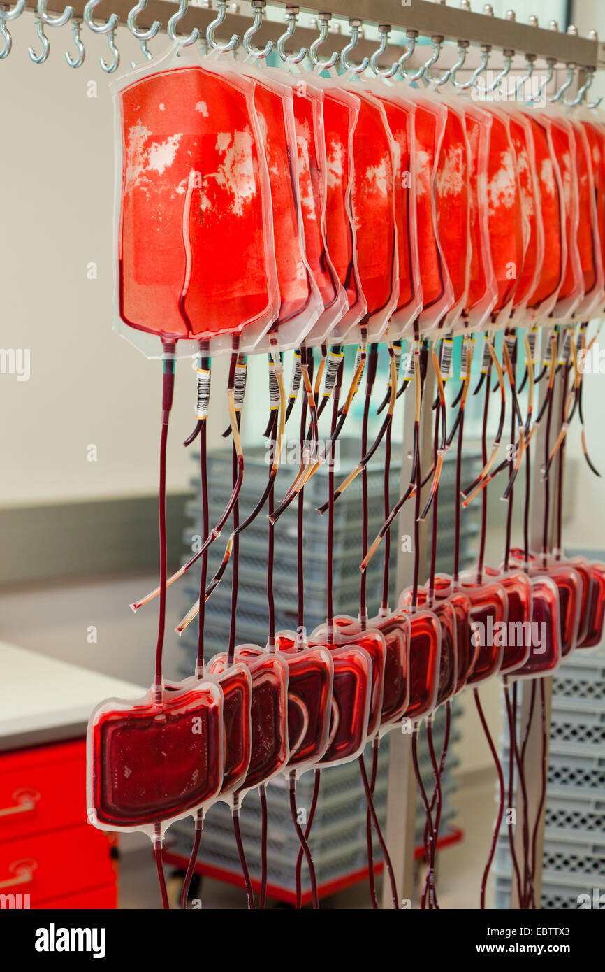 Blood from blood donors in the blood lab Stock Photo - Alamy