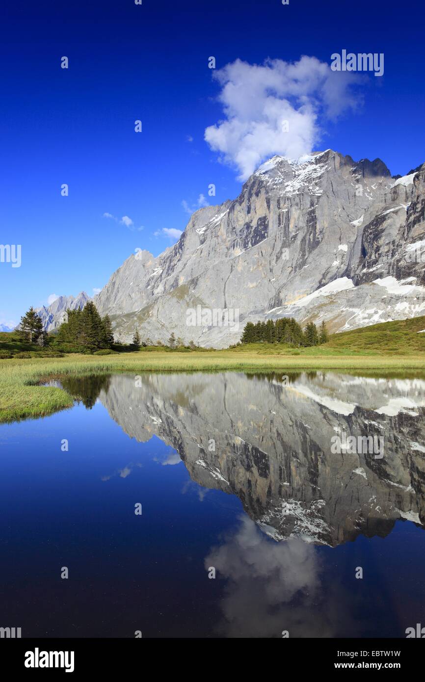 Grosse scheidegg mountain pass hi-res stock photography and images - Alamy