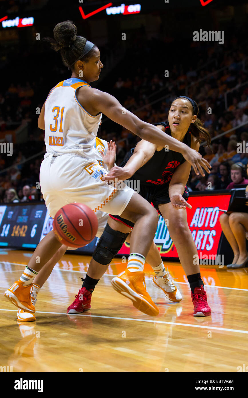 December 3, 2014:CydneySmith #33 of Saint Francis passes the by Jaime ...