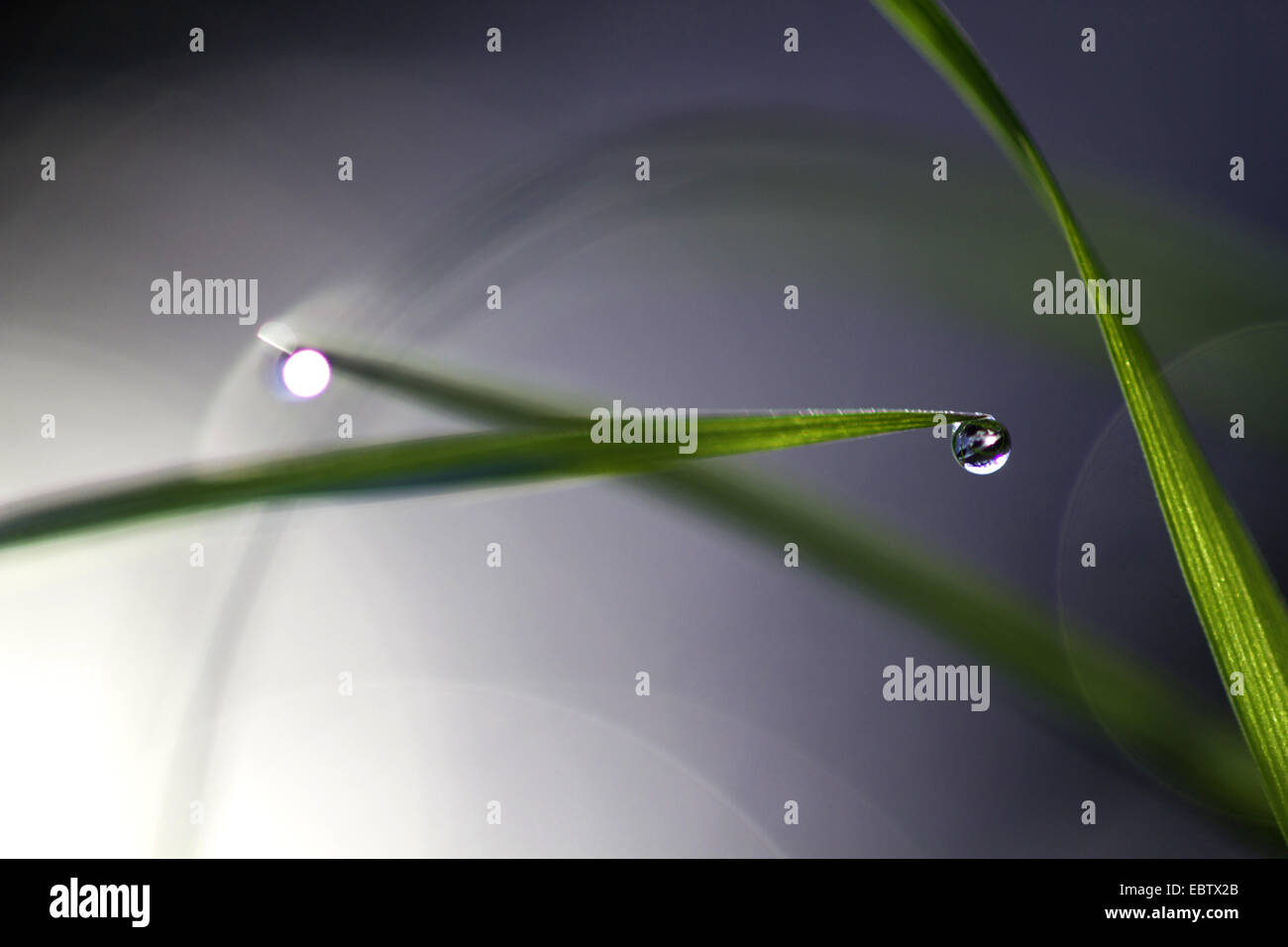 Beam light refraction water hi-res stock photography and images - Alamy