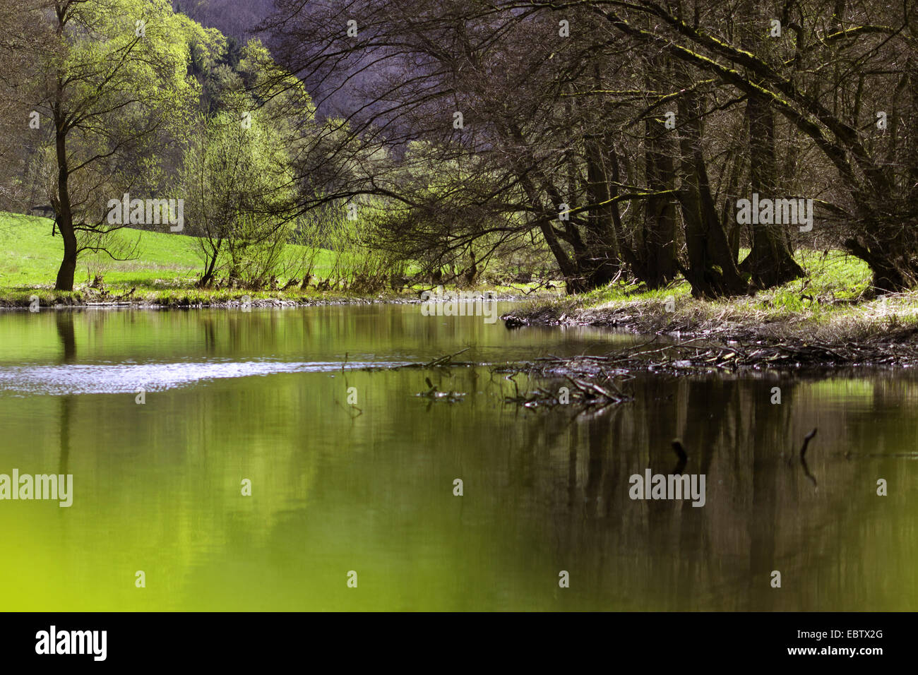 pictoresque river landscape in the valley of the Weisse Elster, Germany ...