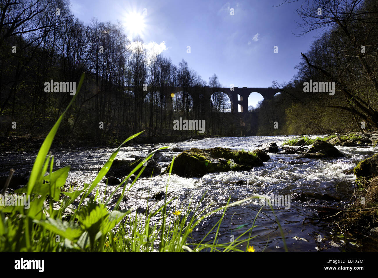 view over the Weisse Elster at the Elster Viaduct, Germany, Saxony ...