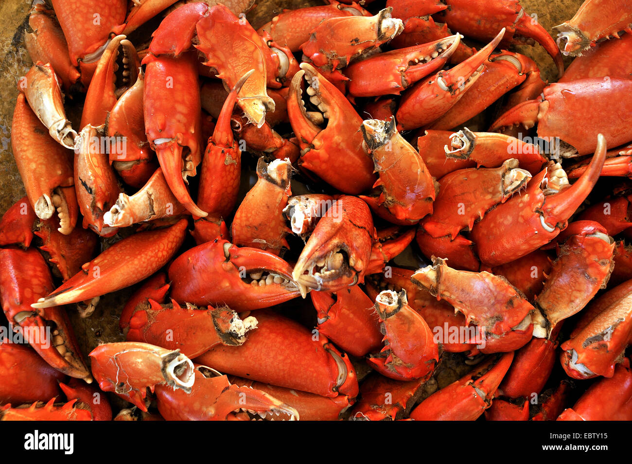 boiled pincers of crabs , Madagascar Stock Photo - Alamy